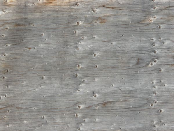 wood with large knots texture 0067 - Texturelib